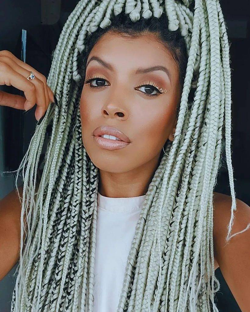 95+ Box Braids Hairstyles for Women