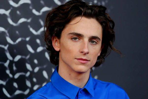 Center Parted Hairstyles for Men