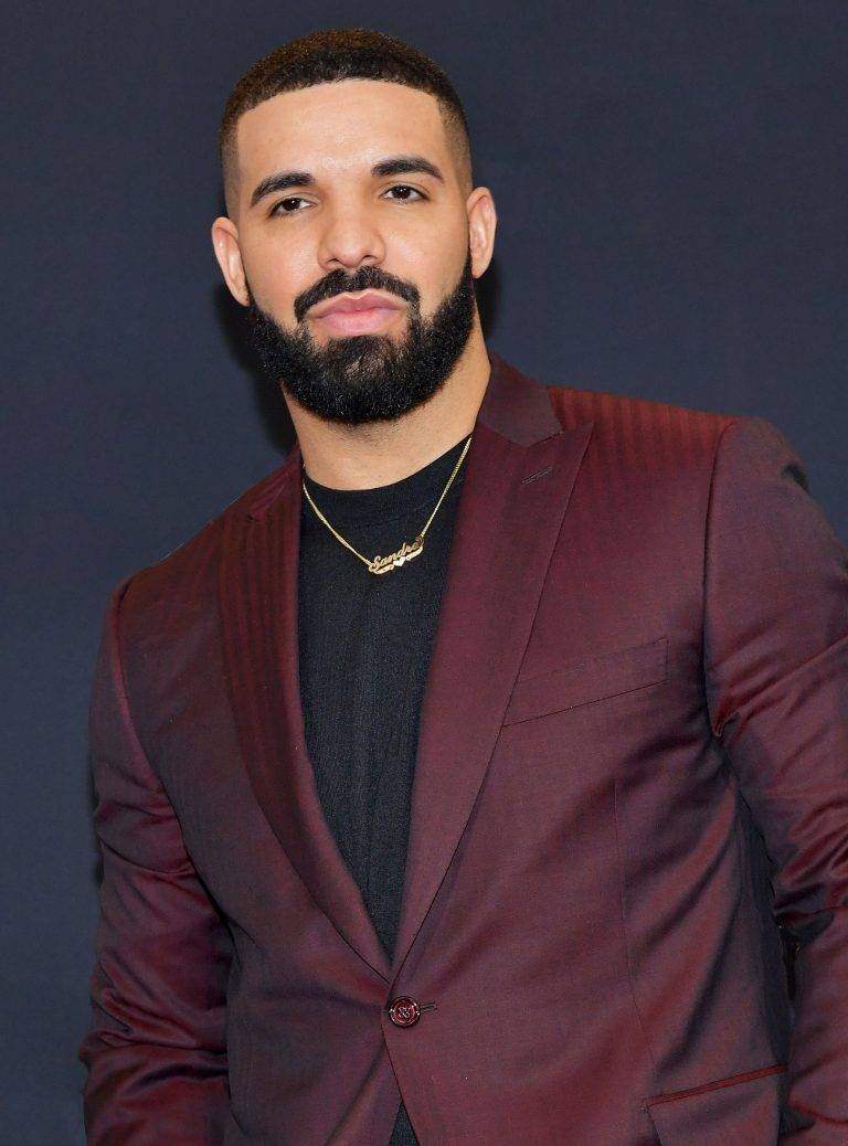 55+ Drake Hairstyles