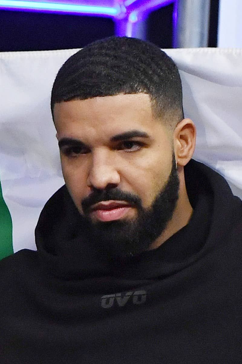 55+ Drake Hairstyles